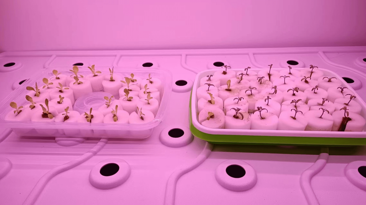 Iot Based Greenhouse Monitoring And Control System For Smart
